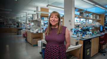 Faculty Features | ILP